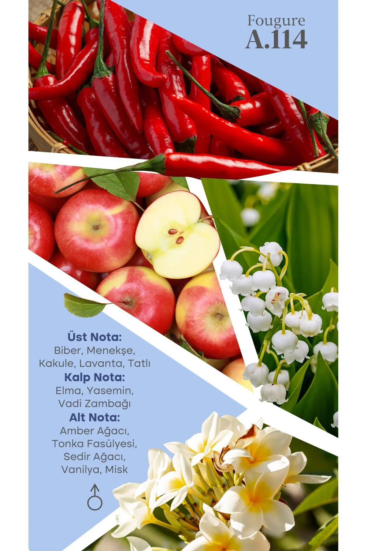 Mad A114 Selective 100 ml Erkek Parfüm en uyguna satın al! Fiyatı ve ...